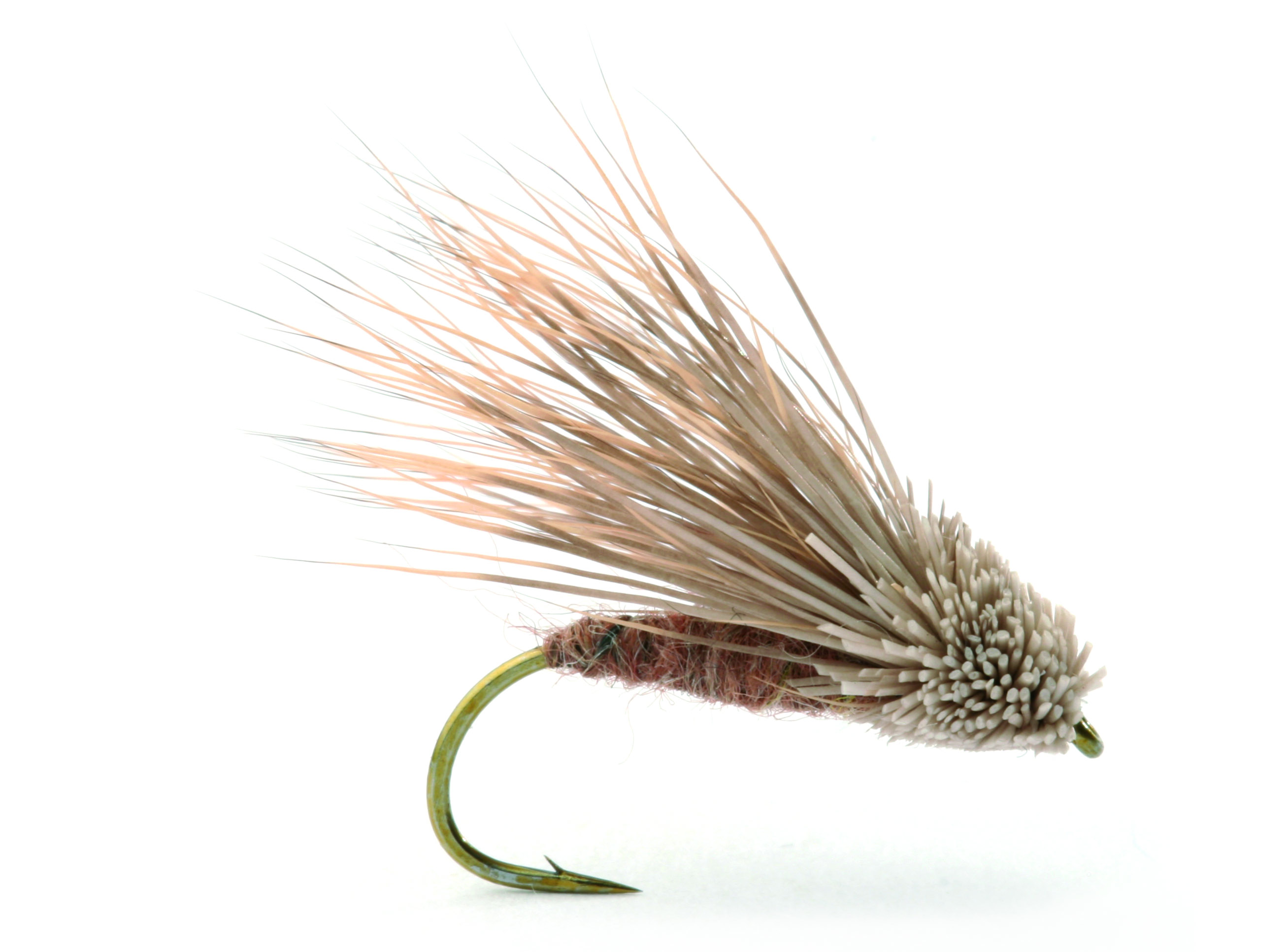 Streaking Caddis