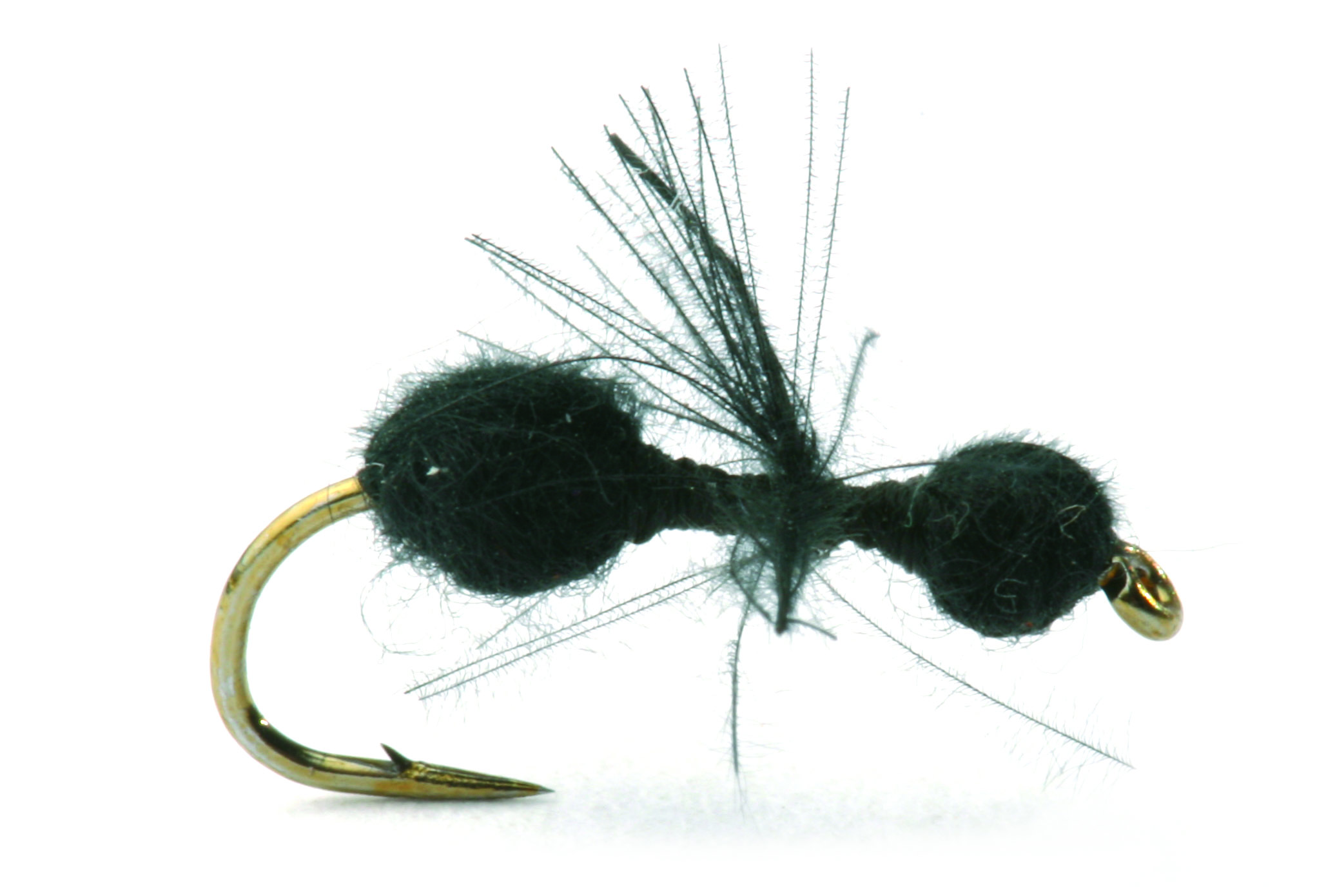 CDC Black Ant